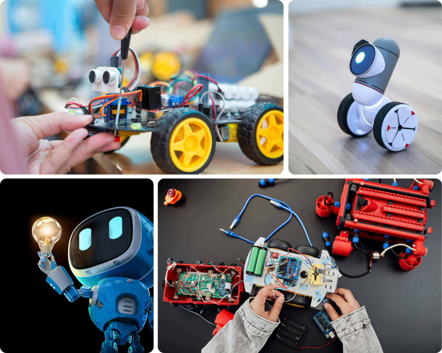 Pre-University STEM Innovation Program - STEM Leadership - Global